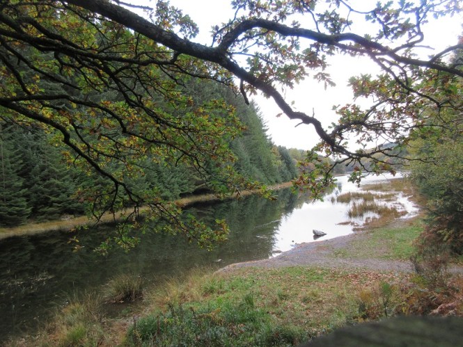 Llyn y Parc – Lost in the Woods – Exploring the Landscape